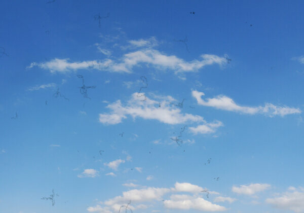 Floaters och blixtar | Optica Landskrona & Båstad